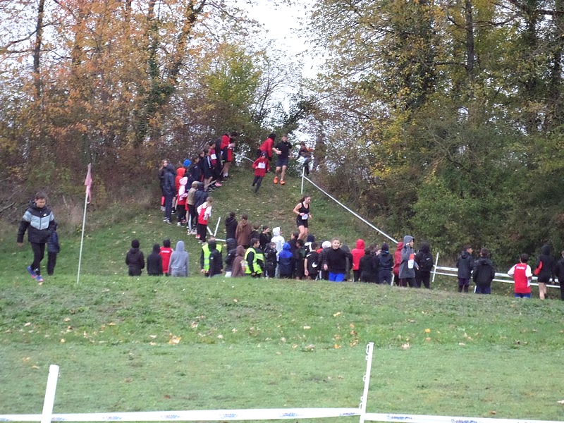 Cross Départemental de l'UNSS (Union Nationale du Sport Scolaire ...